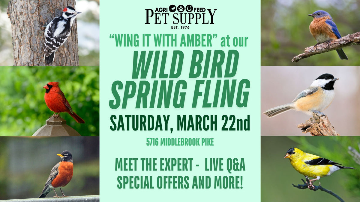 Wing it with Amber Spring Fling - Knoxville, TN - Agri Feed Pet Supply